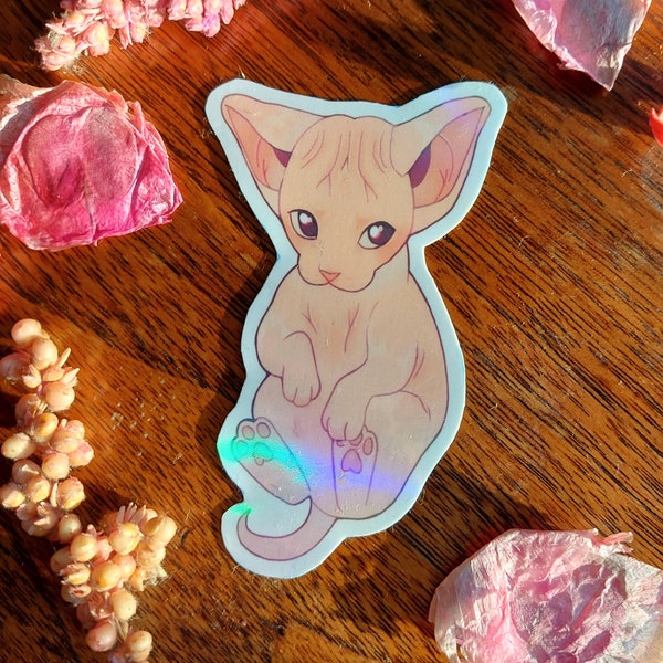 Bingus Stickers - Etsy