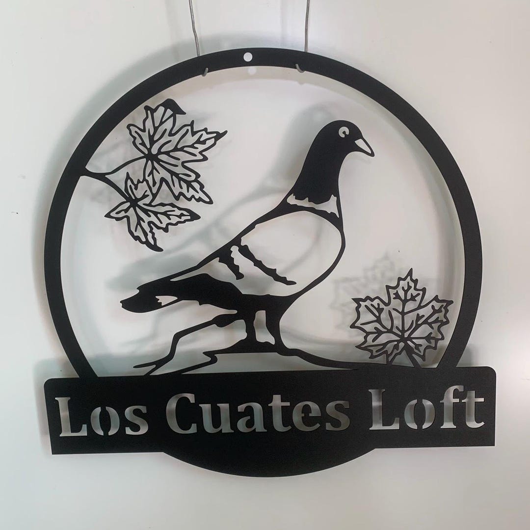 Custom Pigeon Bird Monogram Metal Wall Art, Personalized Pigeon Bird ...
