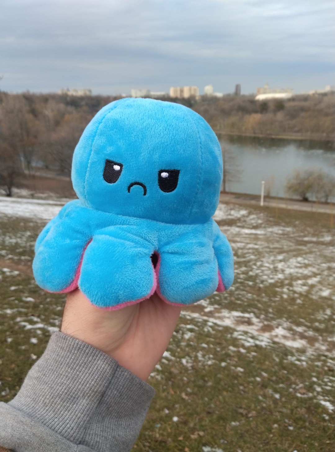 REVERSIBLE OCTOPUS TOY Expresses Emotion Initial Gift With Mood ...
