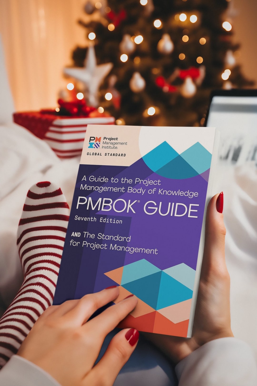 A Guide to the Project Management Body of Knowledge the Standard for ...