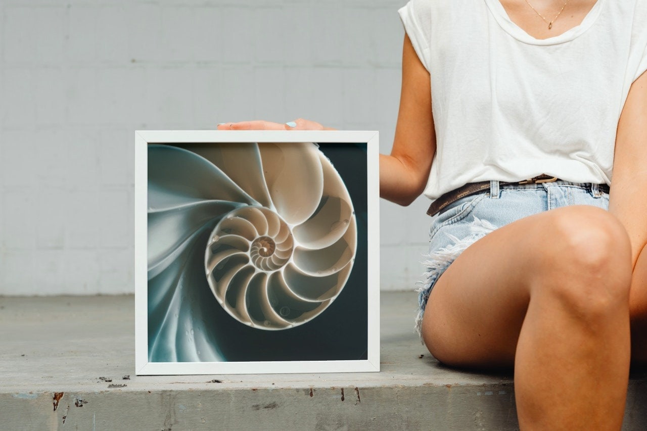 Set of 6 Printable Nature Fibonacci Wall Art; Fractal Wall Art ...