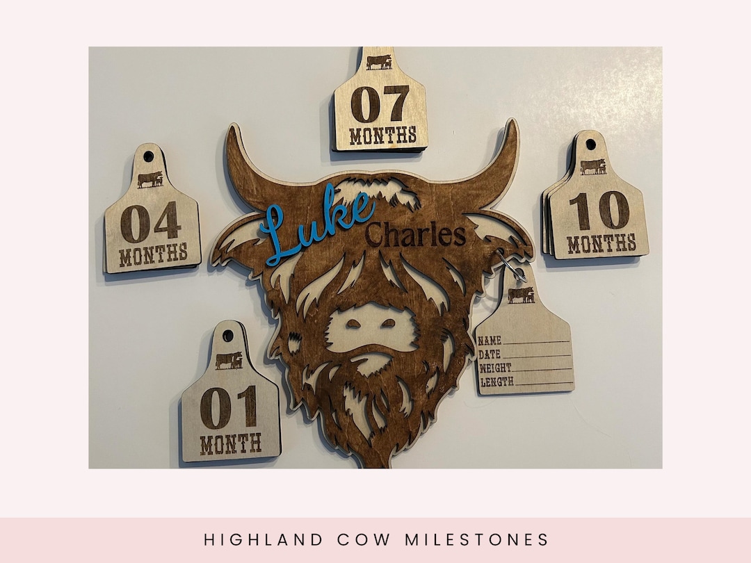 Personalized Highland Cow Baby Milestone Markers: Photo Prop Set - Etsy