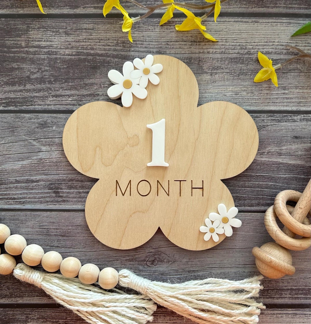 Wooden 3-D Flower Monthly Milestone Sign | Daisy Milestone Card | Baby ...