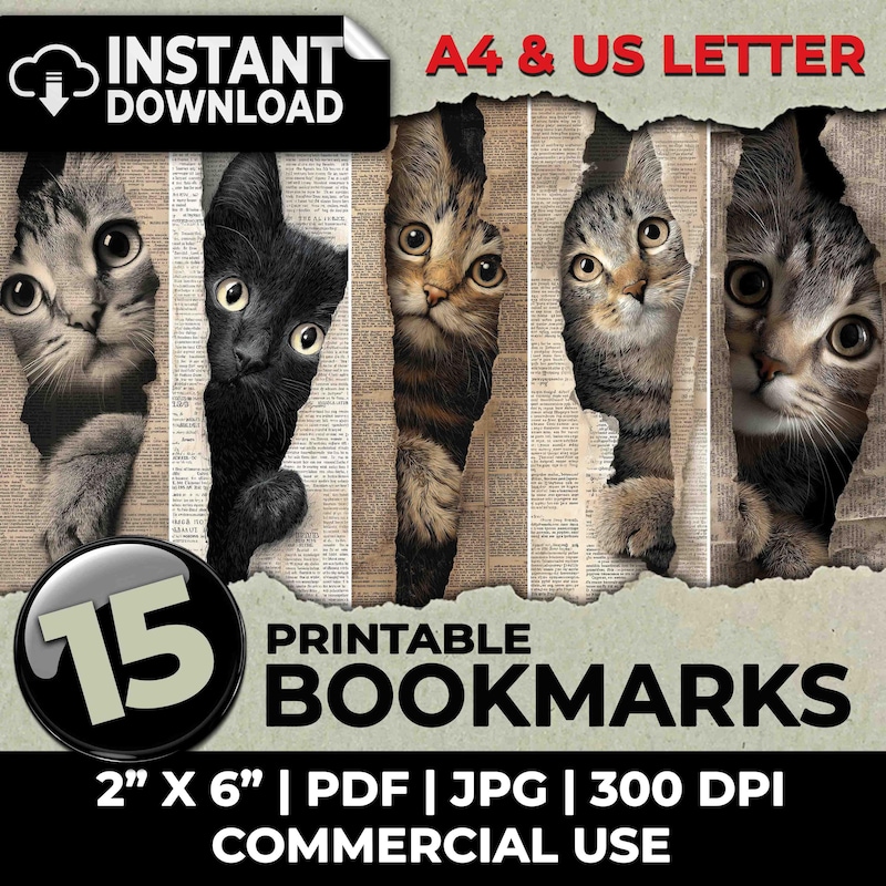 Custom Peekaboo Book - Etsy