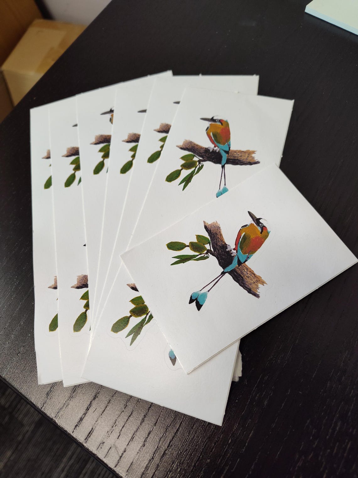 Torogoz/ Guardabarranco / Tolobojo Ceja-turquesa / Pájaro Toh - Kiss ...