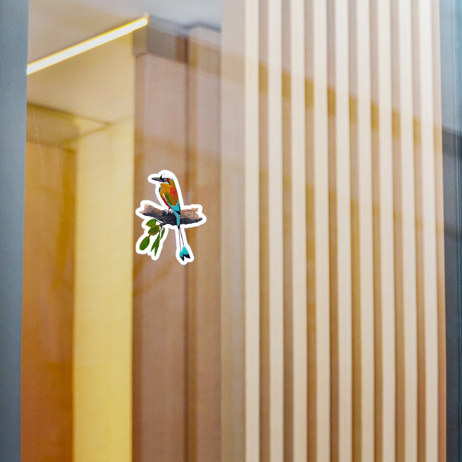 Torogoz/ Guardabarranco / Tolobojo Ceja-turquesa / Pájaro Toh - Kiss ...