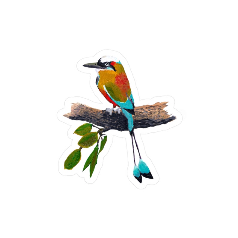 Torogoz/ Guardabarranco / Tolobojo Ceja-turquesa / Pájaro Toh - Kiss ...