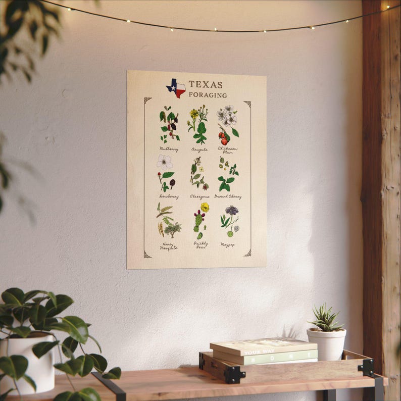 Texas Foraging - Hand Drawn Edible Plants - Textured Matte Posters - Etsy