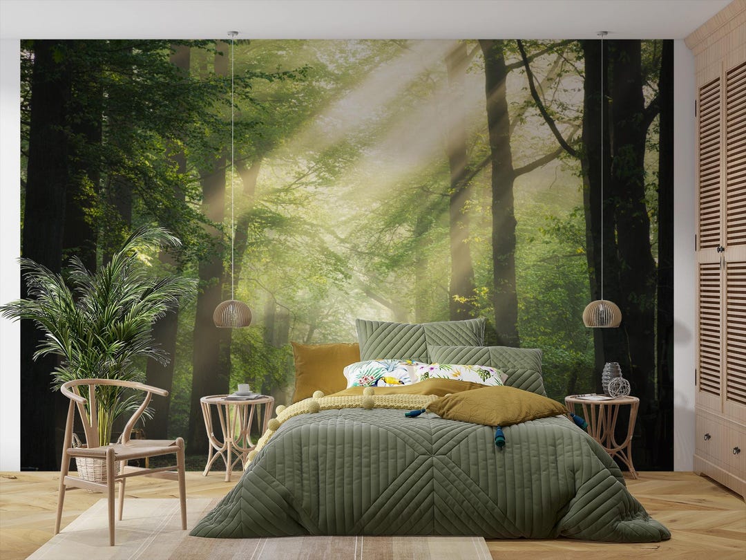 Sunlit Forest Path Wall Mural, Magical Woods Peel and Stick Wallpaper ...