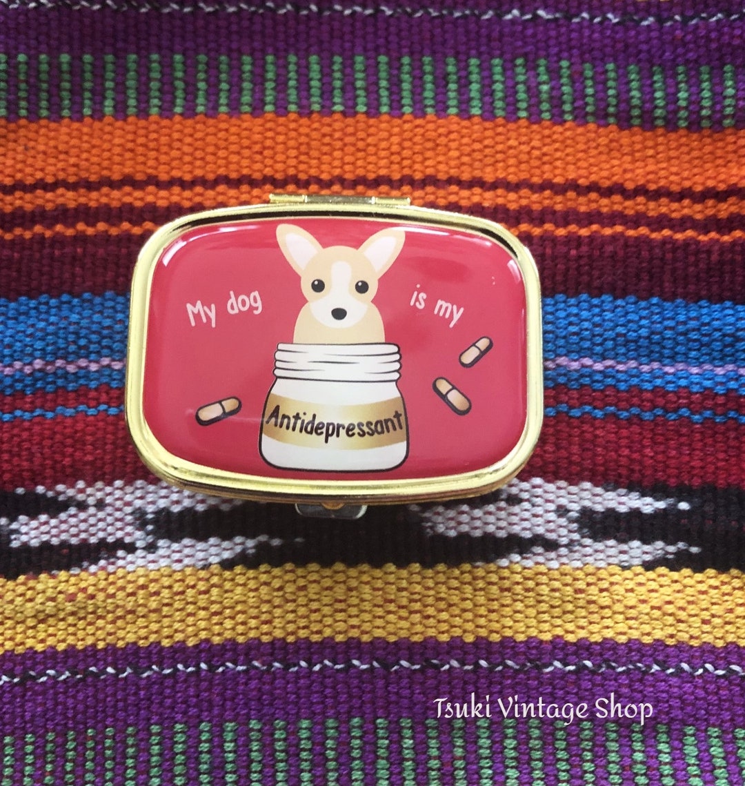 Vintage Chihuahua Dog Trinket Box 2004 - Etsy