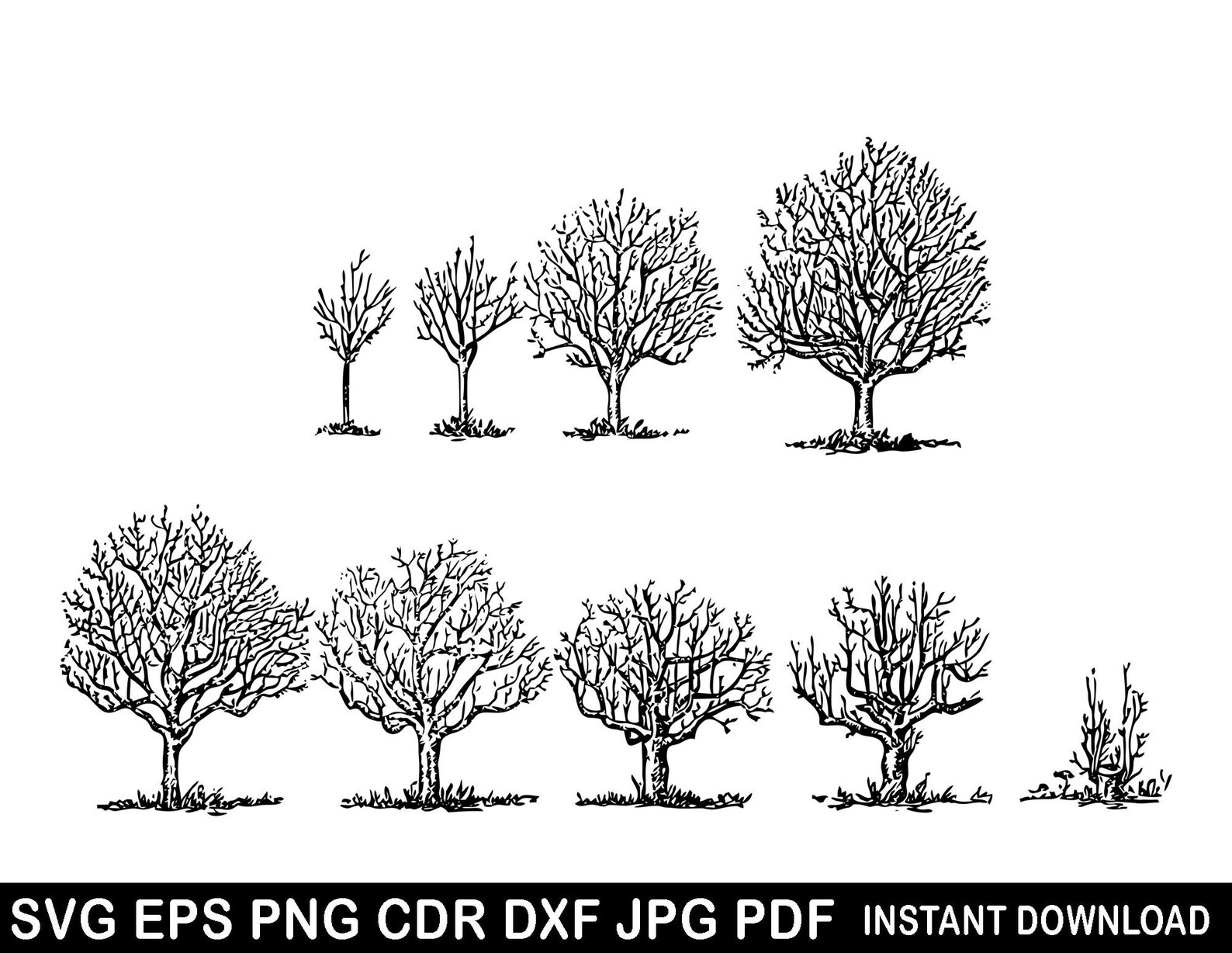 Tree of Life Svg Eps Png Cdr Dxf Jpg Pdf, Family Tree Vector, Cycle of ...