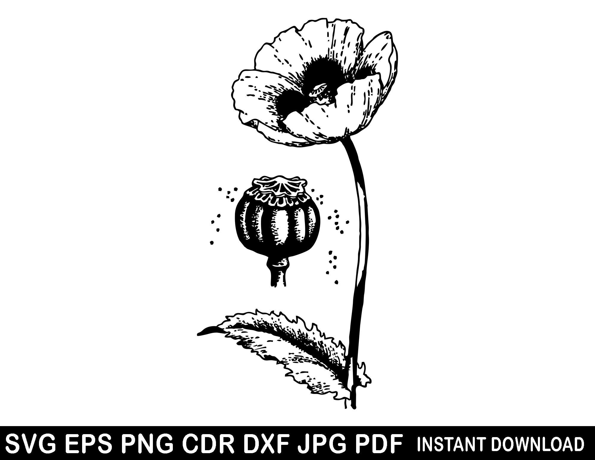 Poppy Svg, Poppy Cutting, Floral Vector, Poppy Clipart, Remembrance Day ...