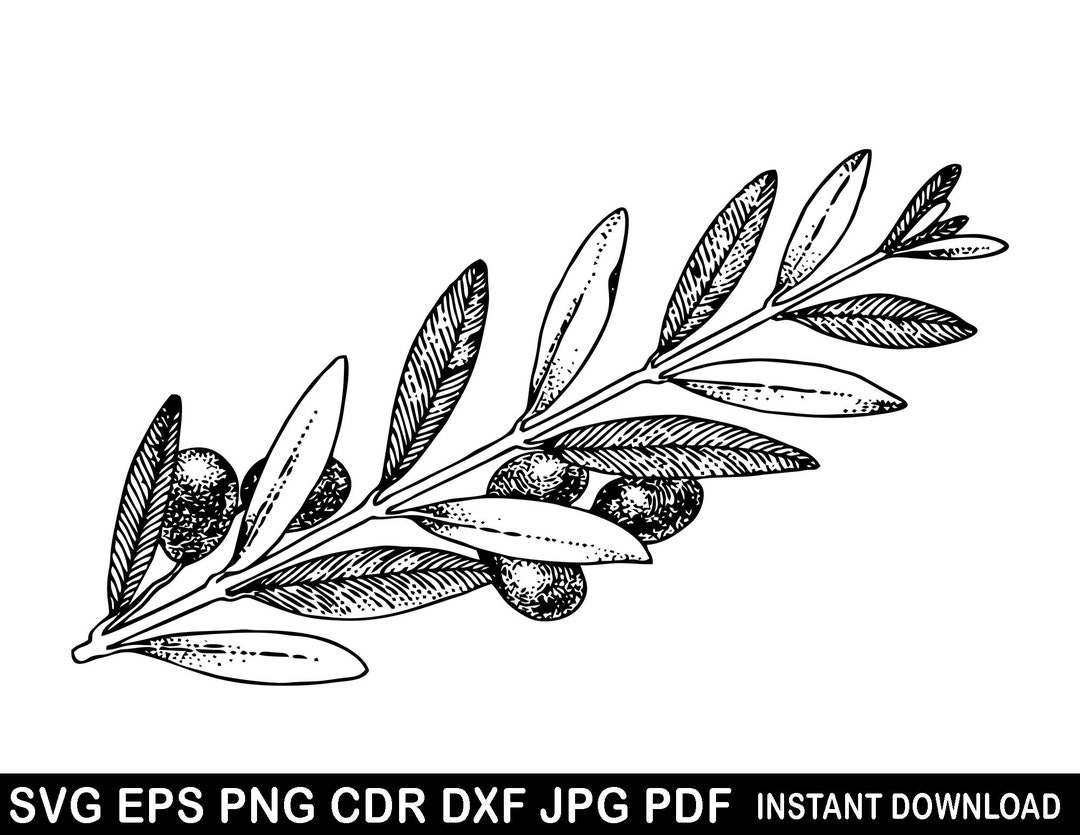 Olive Tree Svg, Olive Drawing, Olive Clipart, Tree Clipart, Olive ...