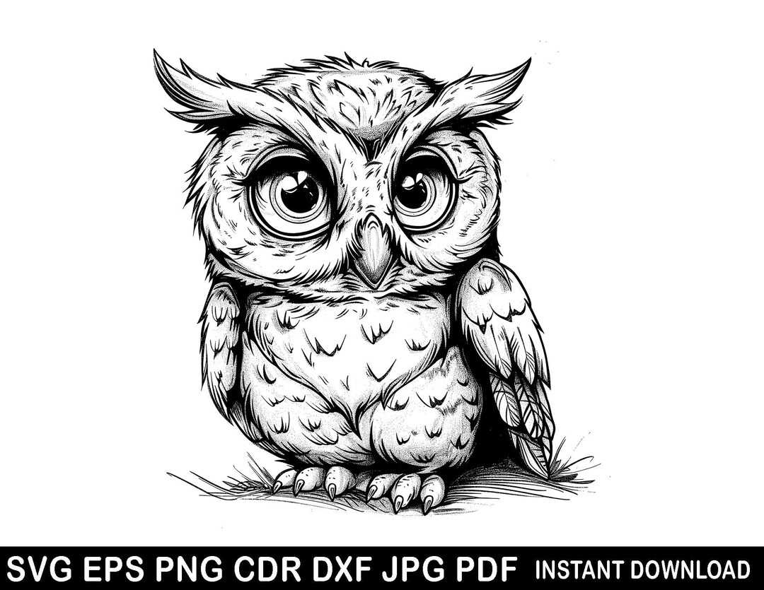 Baby Owl Svg | Baby Owl Png Eps Dxf | Owl Logo | Owl Cricut and Cameo ...