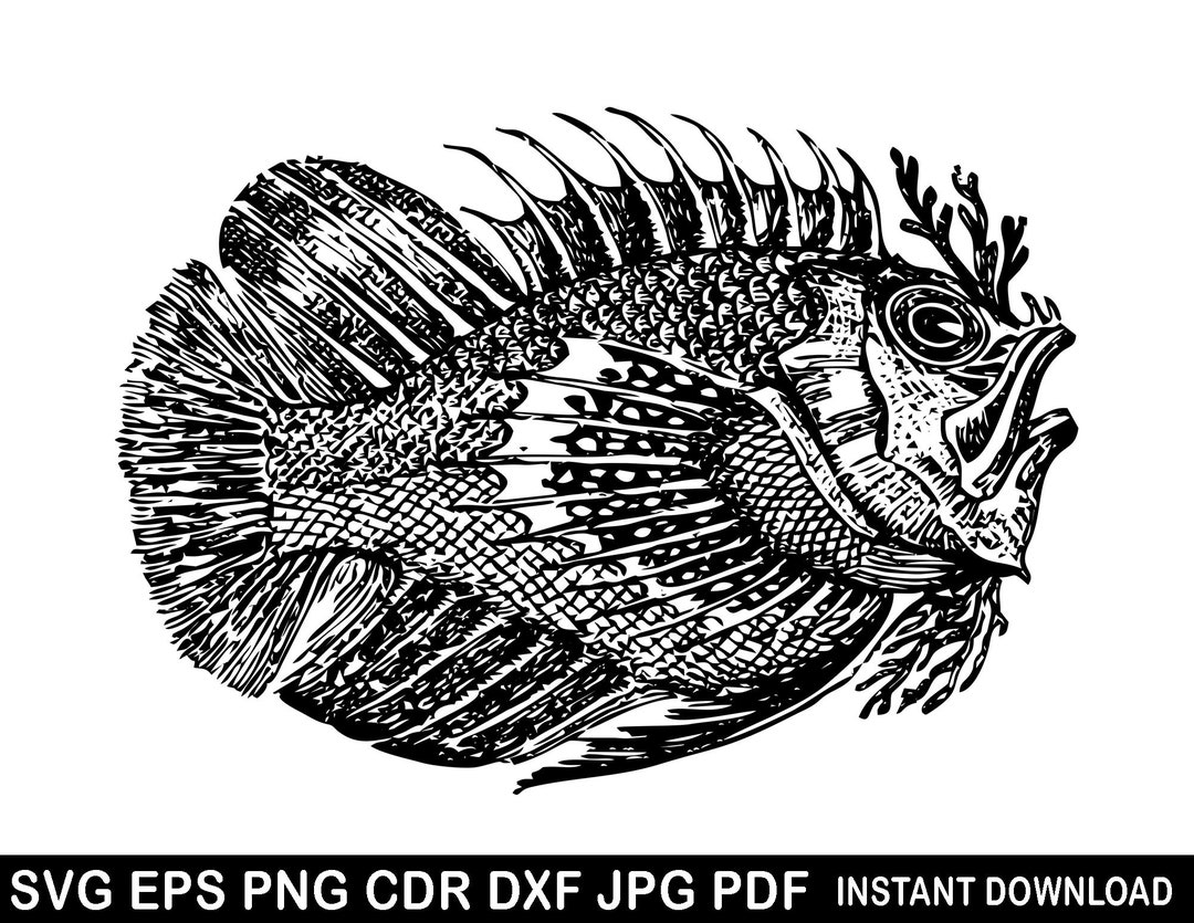 Toothy Angler Fish Custom Fish Metal Wall Art Name Sign Fishing ...