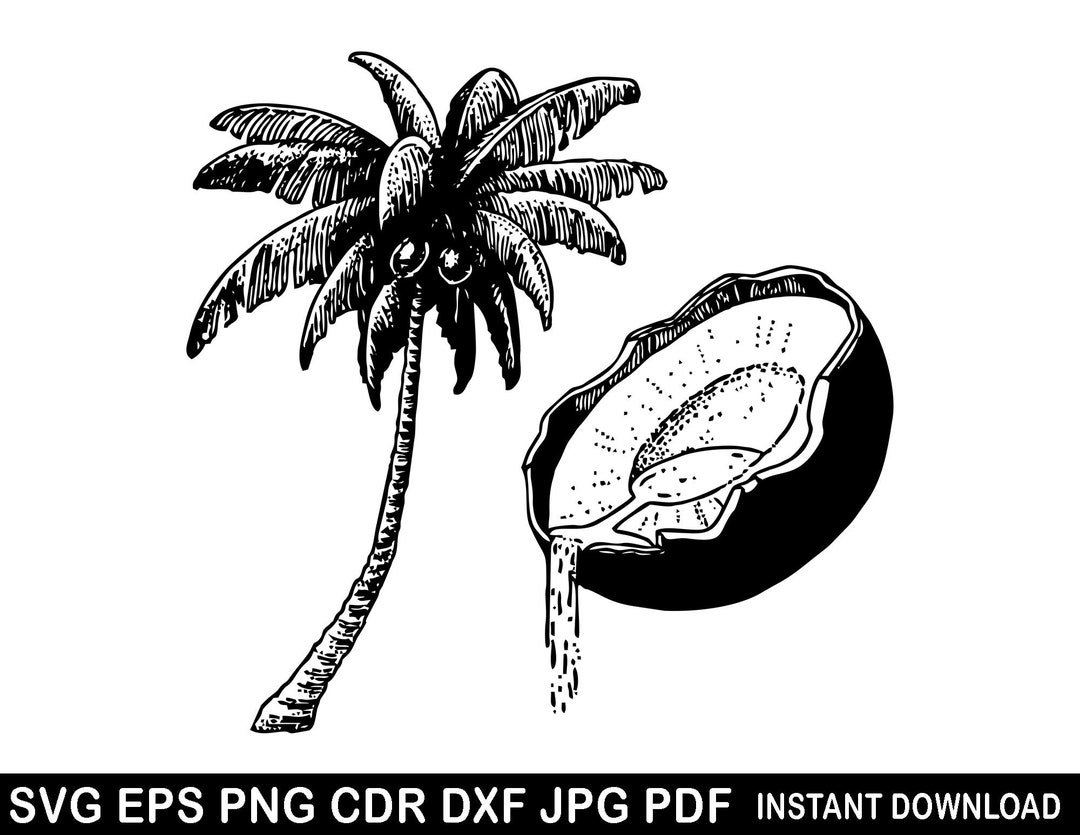 Coconut Svg | Kawaii Fruit Silhouette | Tropical Fruit Vector | Coconut ...