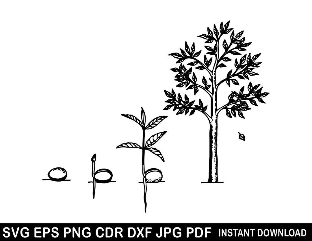 Life Cycle Logo, Tree of Life Svg Eps Png Cdr Dxf Pdf, Cycle of Life ...