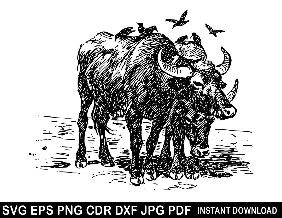 Taurus Bull Head Design | Svg Png Dxf Pdf Eps | Vector Graphic Design ...