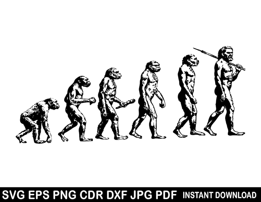 Monkey Human Australopithecus Pithecanthropus Homo Sapiens Evolution ...