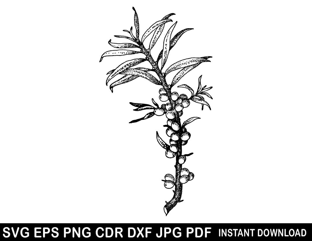 Eps Légumes, Fruits Légumes Svg, Png Nourriture, Fichiers Vectoriels ...