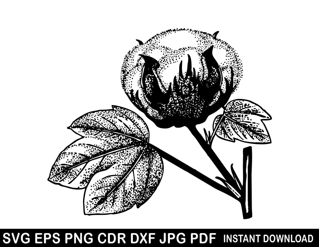 Cotton Svg | Cotton Boll Silhouette | Cotton Clipart | Cotton Plant ...