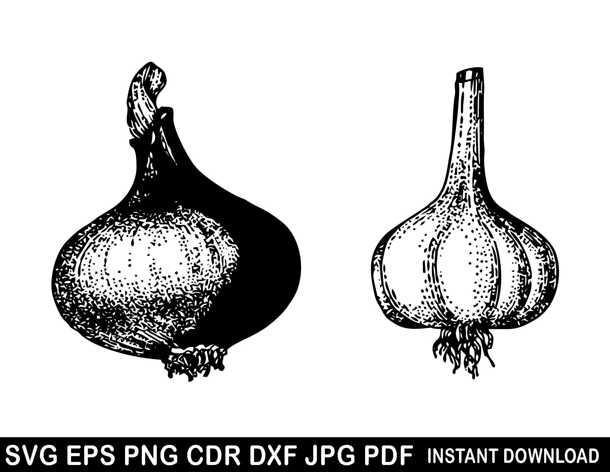 Garlic Svg, Eps Files for Cricut, Garlic Clipart, Garlic Png, Garlic ...