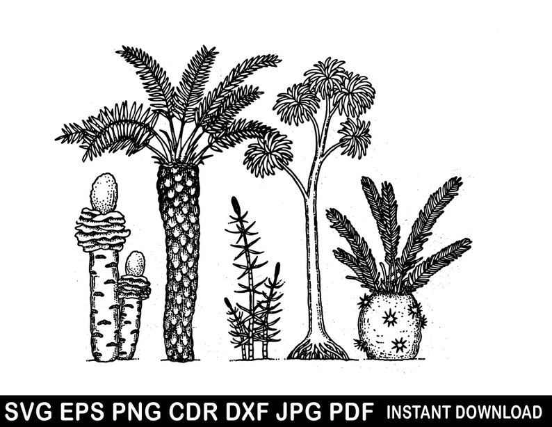 Cactus Landscape Svg, Succulents Dxf, Desert Cactus Png, Cactus Border ...
