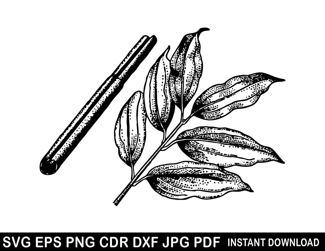 Cinnamon Svg, Cinnamon Vector, Spice Cricut, Cutting Cut File, Cinnamon ...