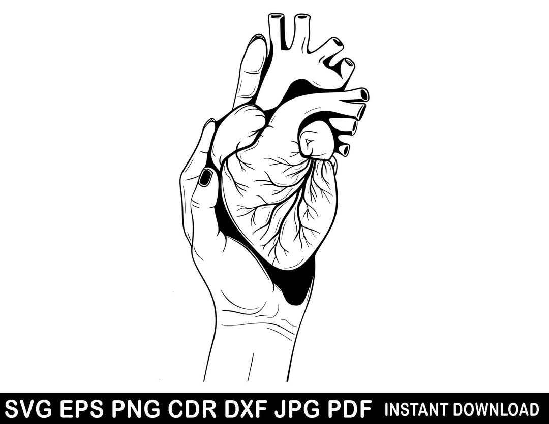 Anatomy Love Heart in Hand Svg Eps Png Dxf Jpg Pdf, Anatomy Love Heart ...