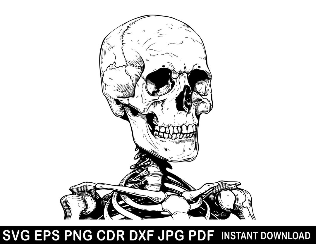 Skeleton Svg | Skeleton Vector | Skull Cricut | Butterfly Cameo | After ...