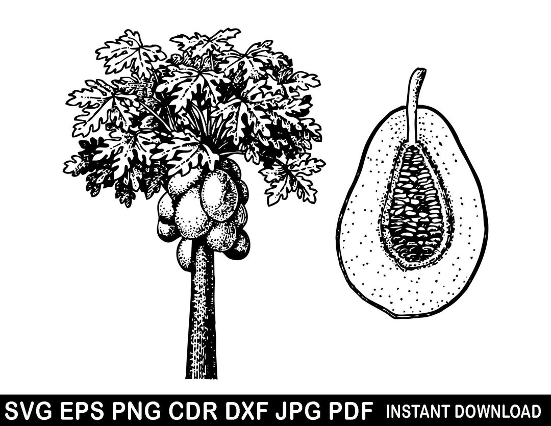 Avocado Svg Eps Png Dxf Jpg Pdf, Food Clipart , Guacamole Vector ...