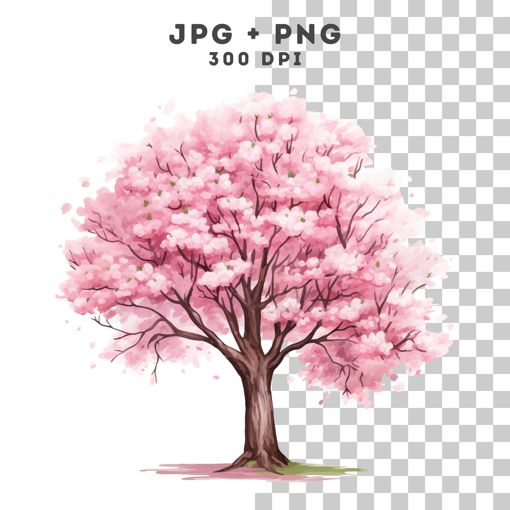Cherry Blossom Clipart, Watercolor Spring Clipart, Sakura Clipart ...