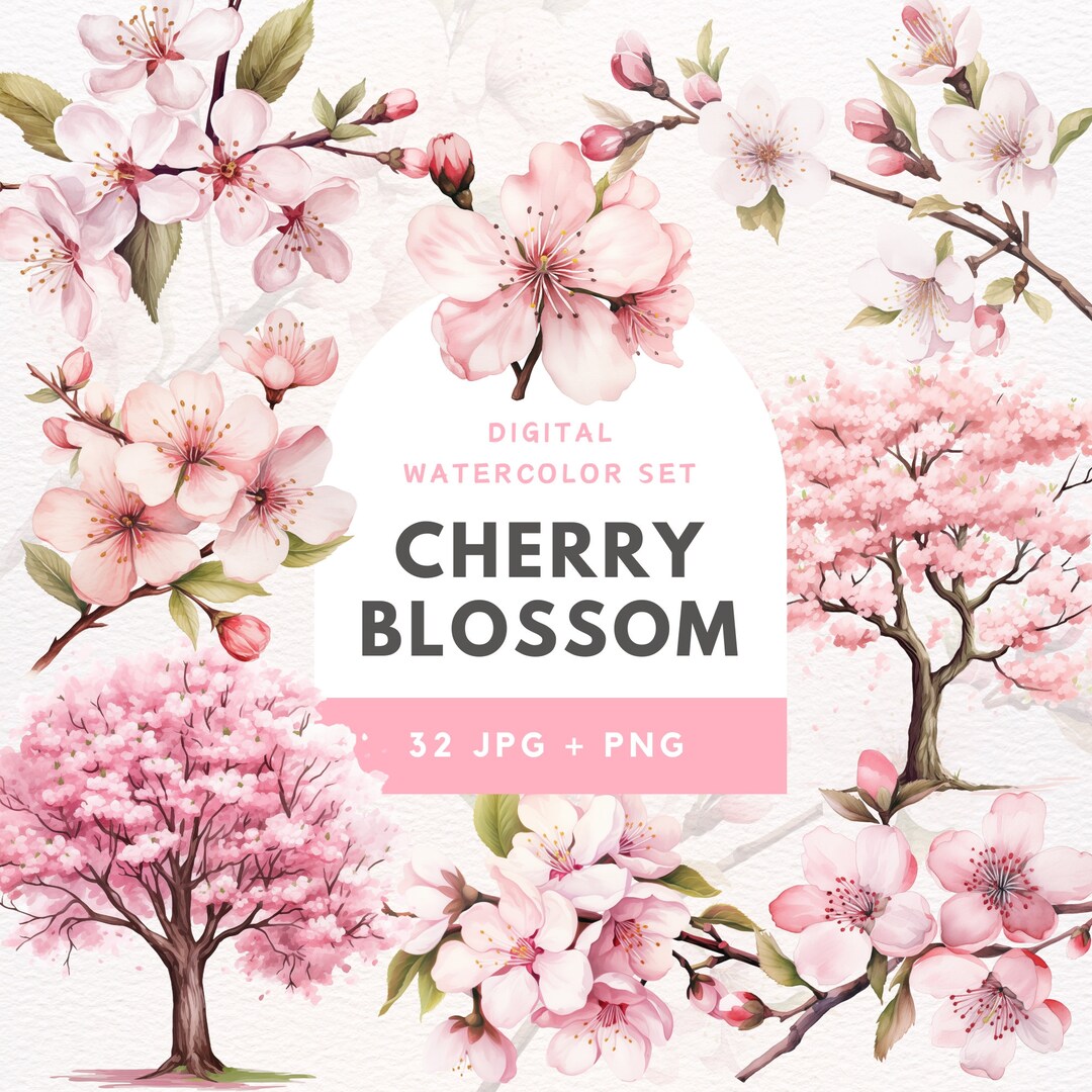 Cherry Blossom Clipart, Watercolor Spring Clipart, Sakura Clipart ...