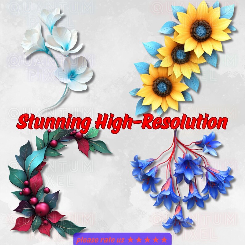 Colorful Blooms Clipart: 672 Floral Designs (300 DPI) (digital Download ...