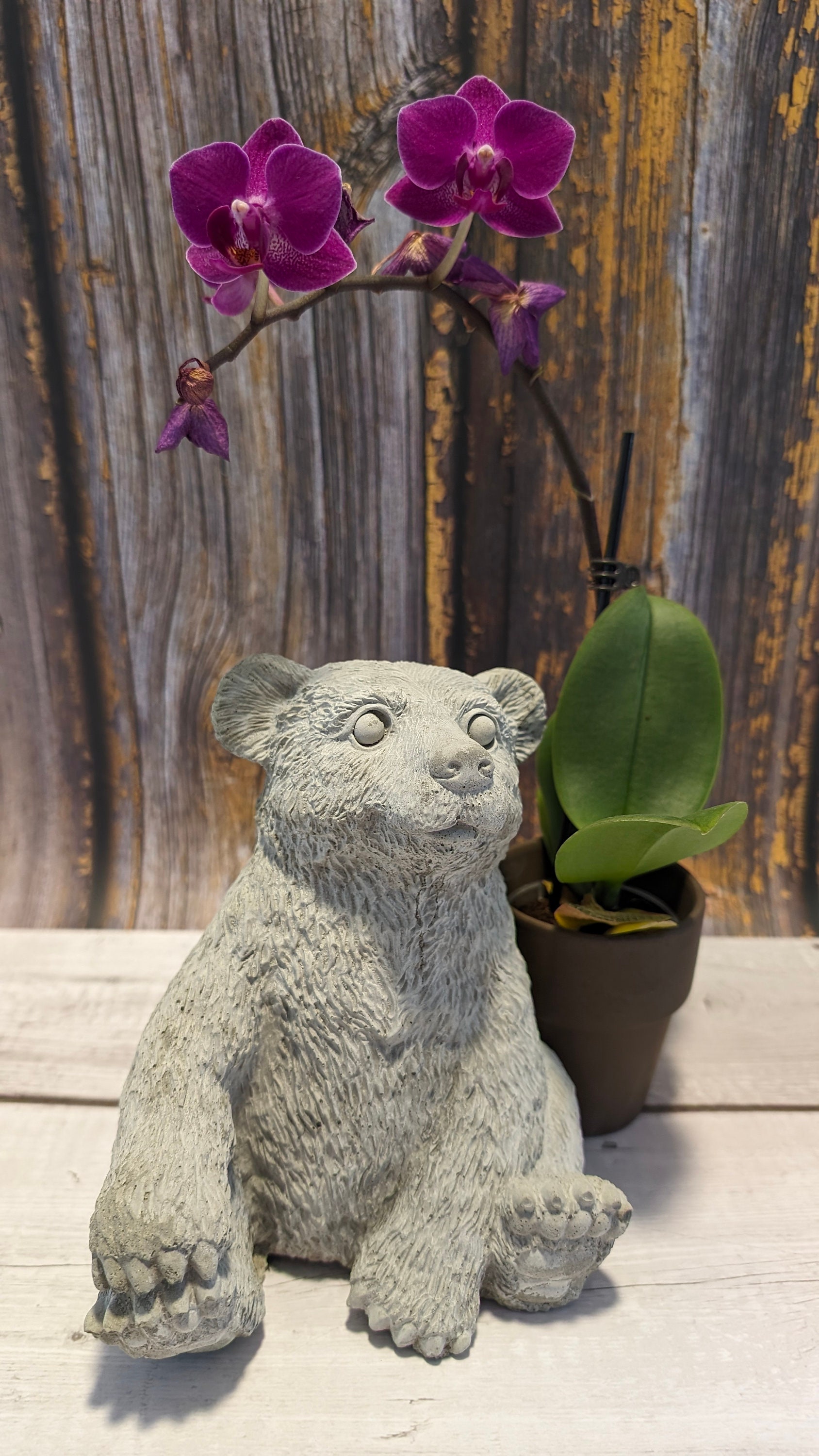 Handcrafted Concrete Baby Bear Statue - Etsy