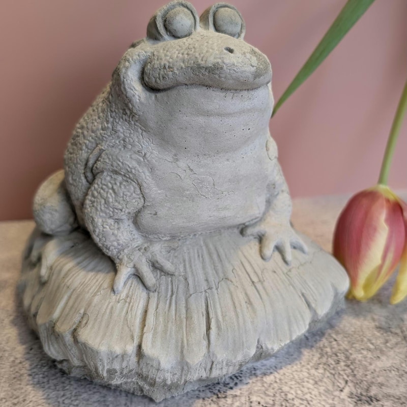 Concrete Toad - Etsy