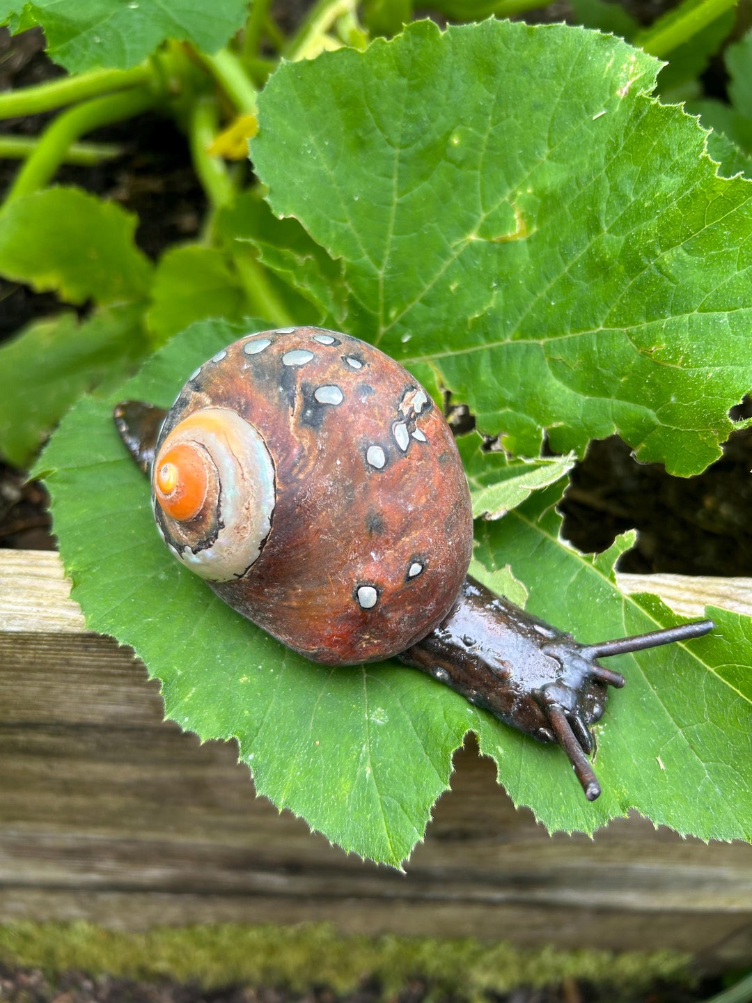 Metal Natural Snail Shell, Metal Snail, Metal Snail Shell, Exotic Snail ...