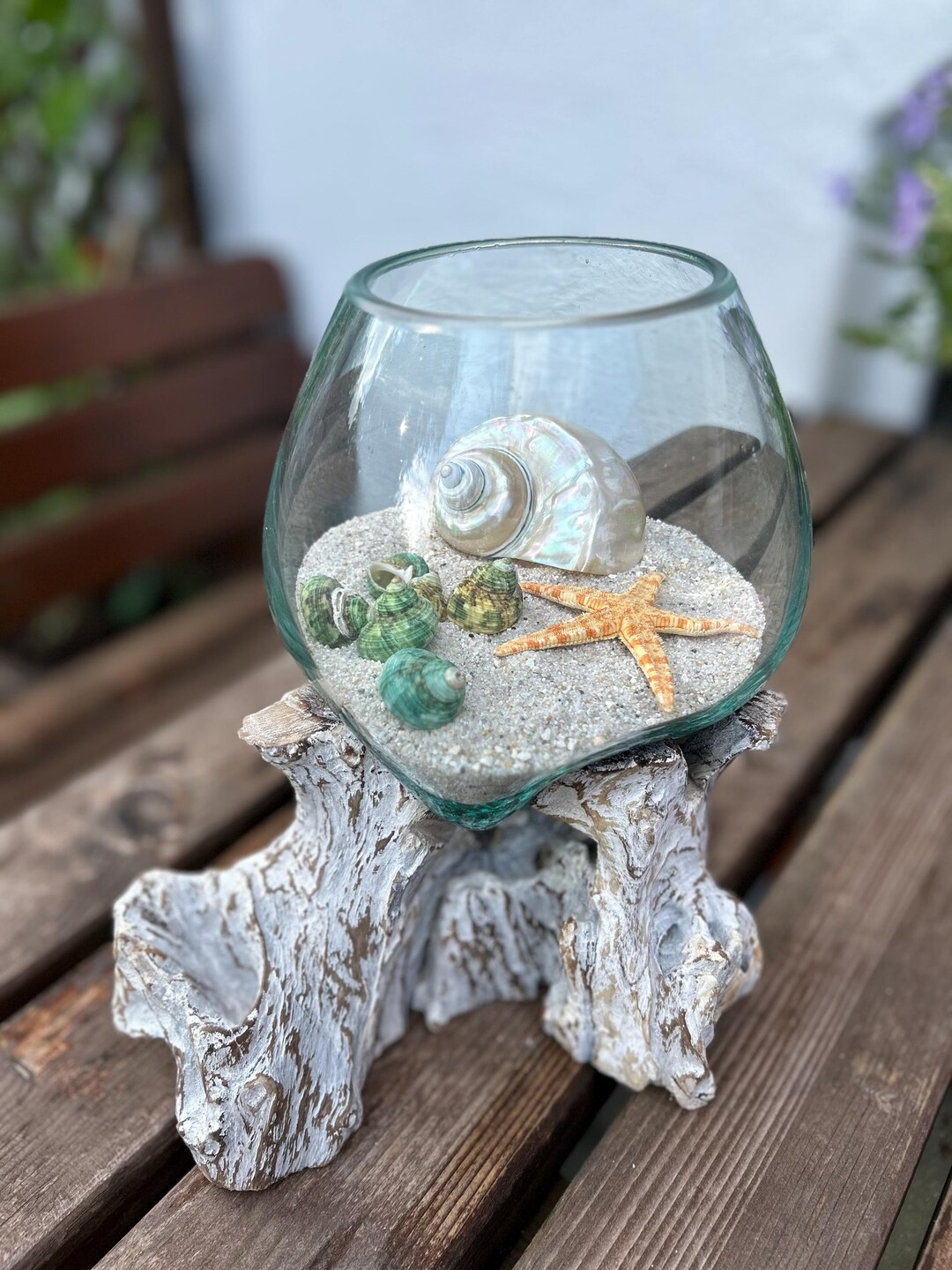 Vase Root Wood, Glass Root Wood, Glass Vase Root Wood, Glass on Root ...