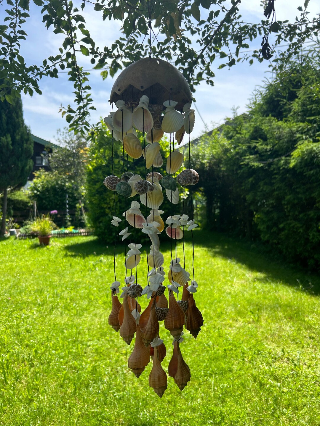 Shell Wind Chime, Wind Chime Shell, Wind Chime, Wind Chimes, Hanging ...