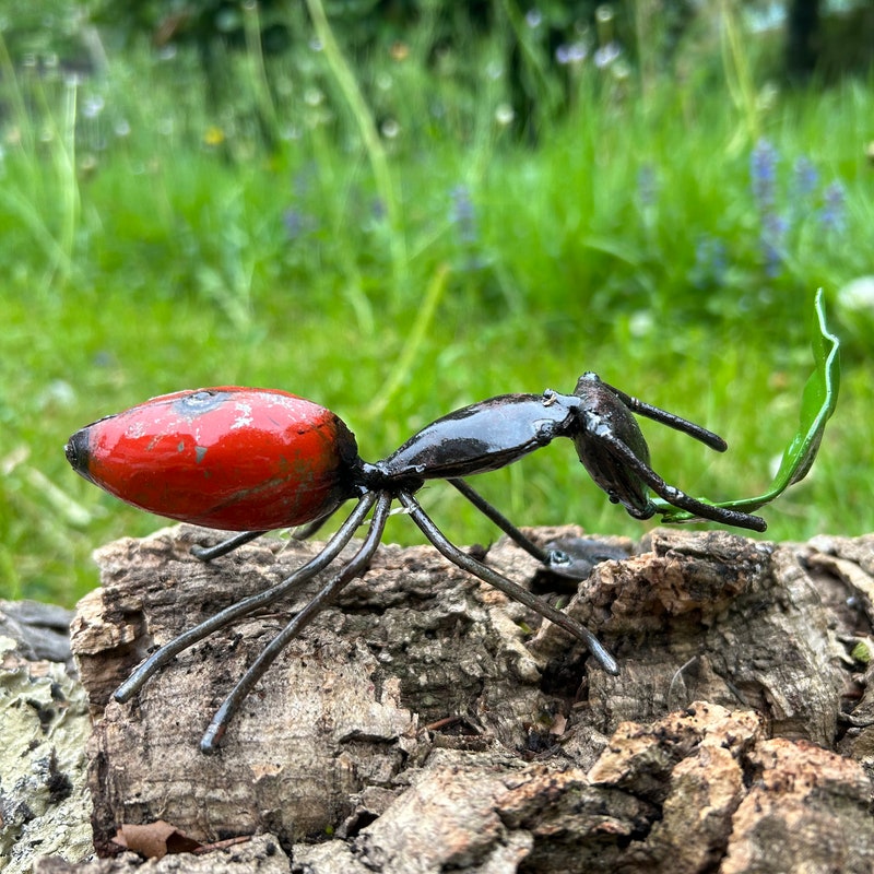 Outdoor Metal Ants - Etsy