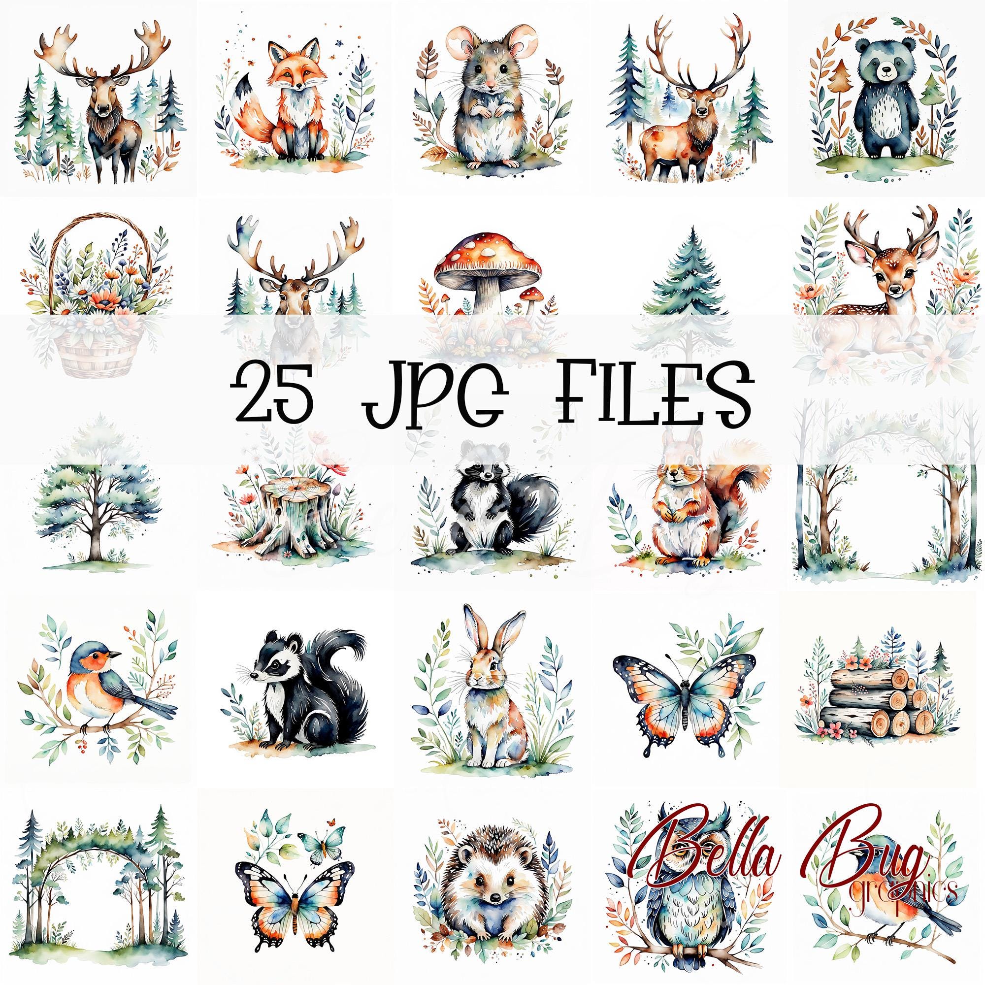 Woodland Friends Clipart Bundle - JPG - Wildlife - Boho Style ...