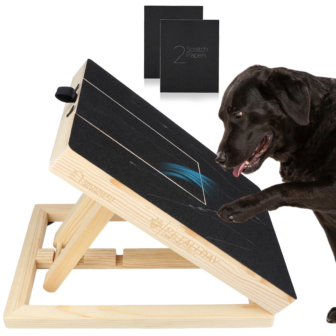 Dog Scratch Board Nail File With Stand and 2 Additional Sandpapers ...