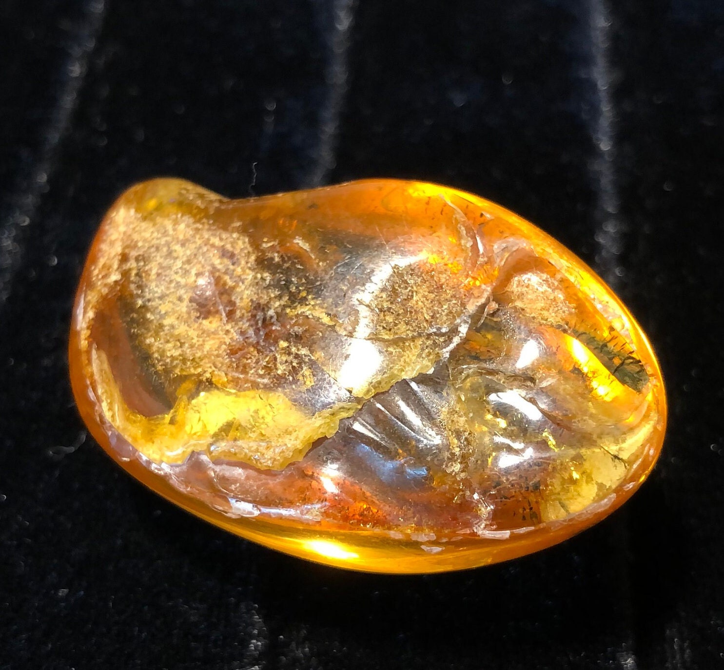 Amber With Rare Spider and 2 Ant Insects Trapped for Million Years ...