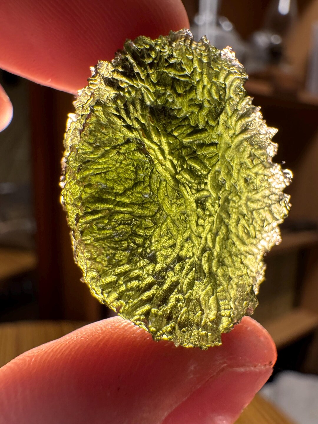 Museum Grade Moldavite Stone (11.33 Grams): Authentic Czech Tektite - Etsy