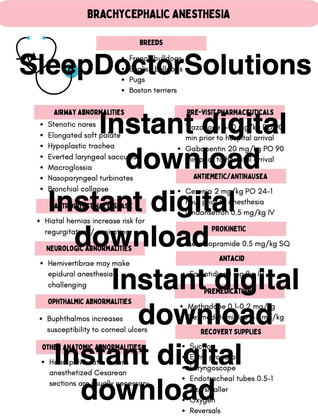 Brachycephalic Anesthesia Notes With Sample Protocol - Etsy