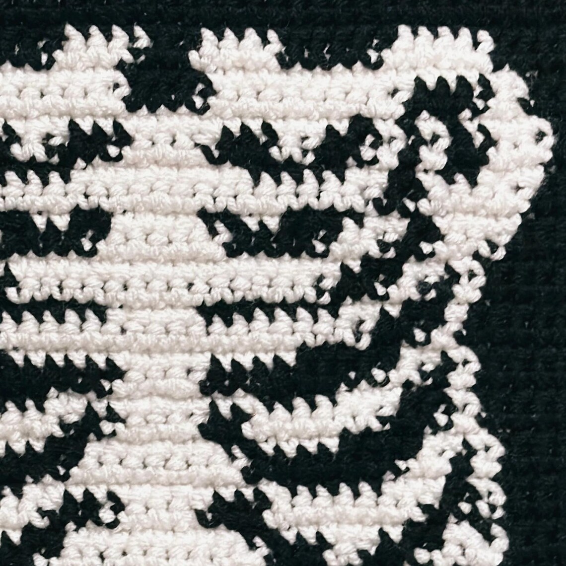 Crochet Pattern | Skeleton | Skeleton Wall Hanger | Tapestry Crochet ...