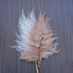 Preserved Fern，wedding Ferns，bleach Fern，white+coffee Color Fern Leaf ...