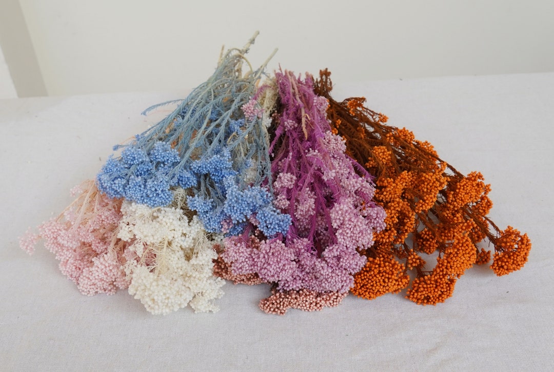Preserved Rice Flower, Preserved Flowers, Wedding Flowers, Home ...