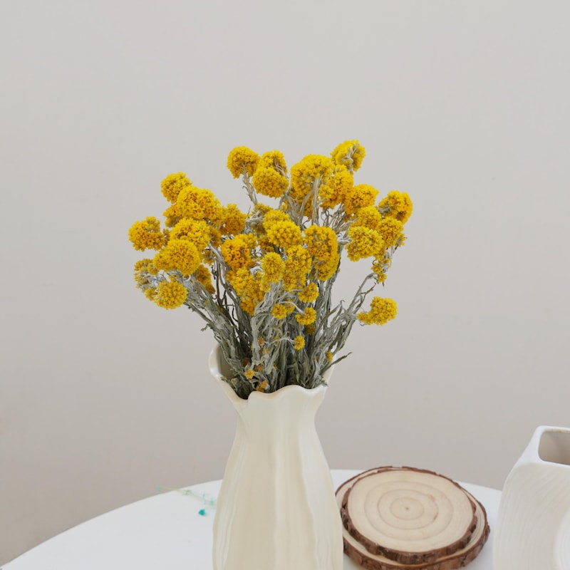 Yellow Dried Flowers - Etsy