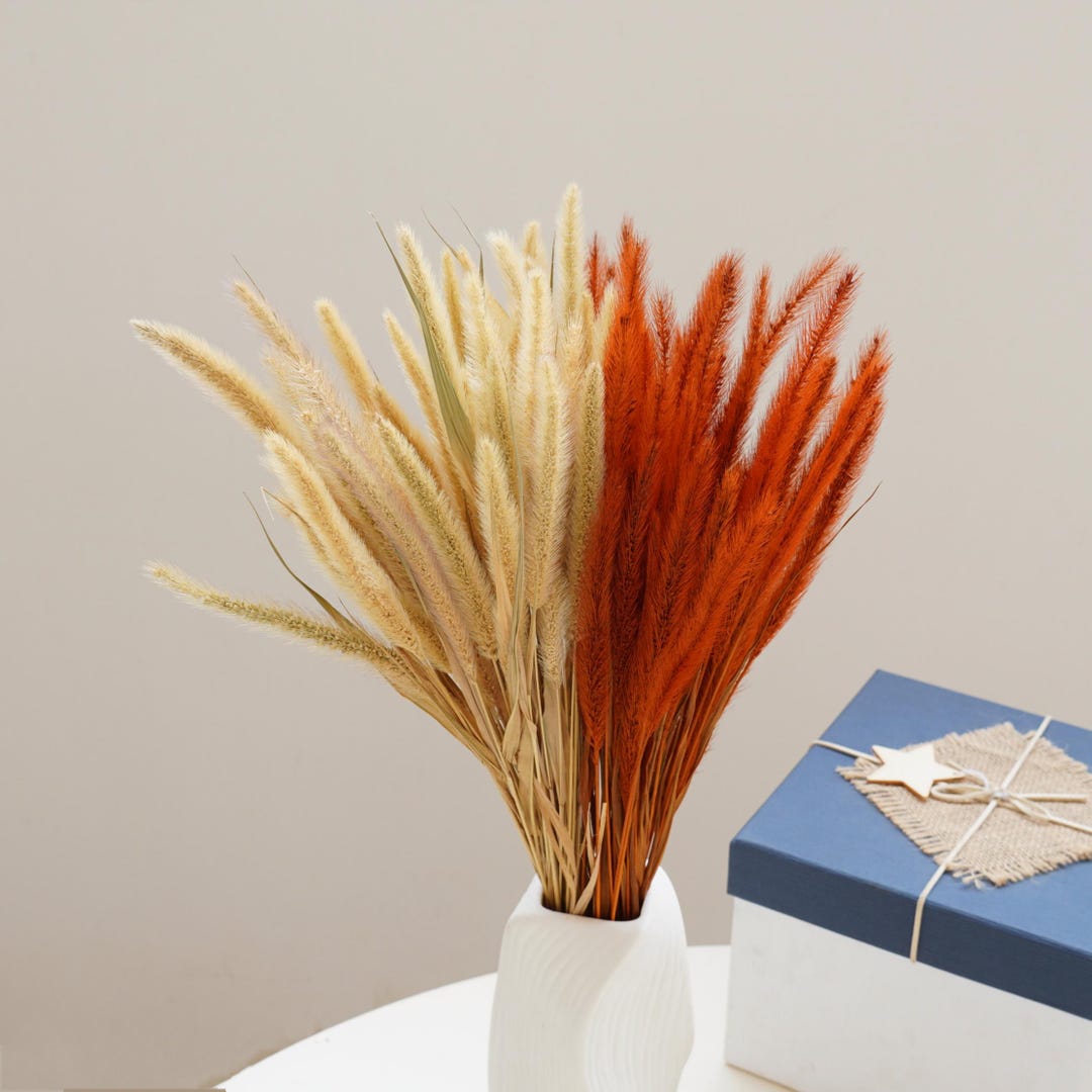 Natural Setaria Pendula, Burnt Orange Setaria Pendula, Dried Flower ...